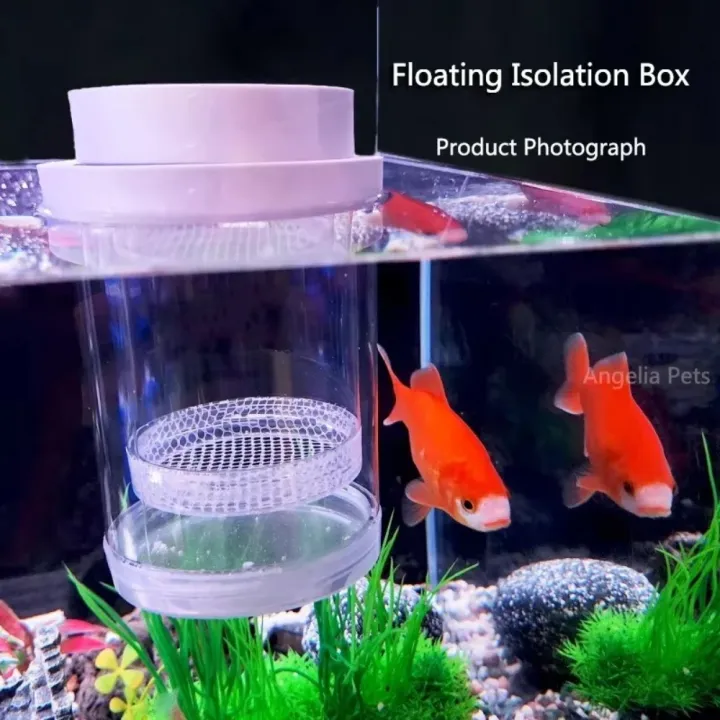 Plastic Mesh Floating Hatching Box Shrimp Guppy Aquarium Breeder ...