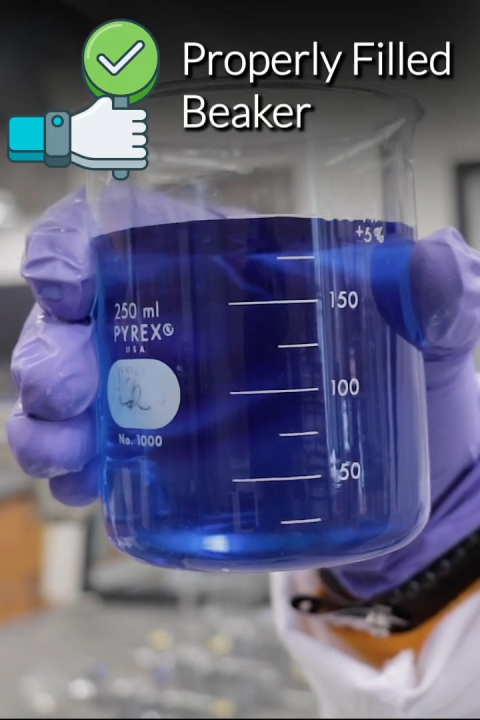 PYREX 250 mL Laboratory Glass Beaker – Premium Borosilicate Glass, Heat ...
