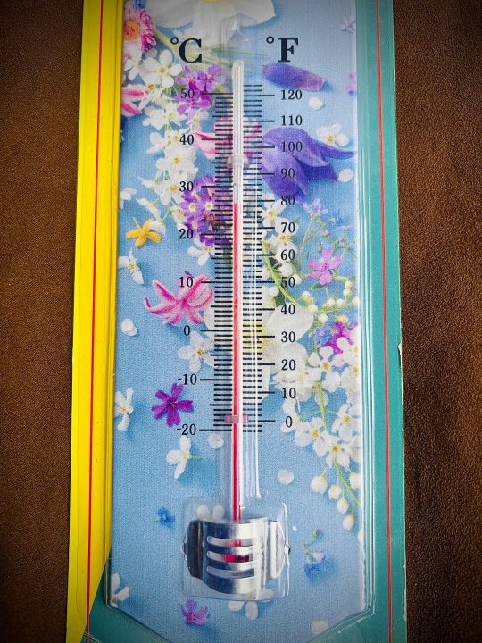 Softa care wall Mount thermometer stand Analog | Daraz.lk