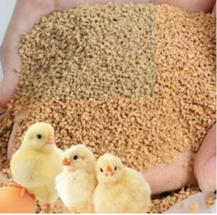 Poultry Feed For Chicks 1 kg Pack.. | Daraz.pk