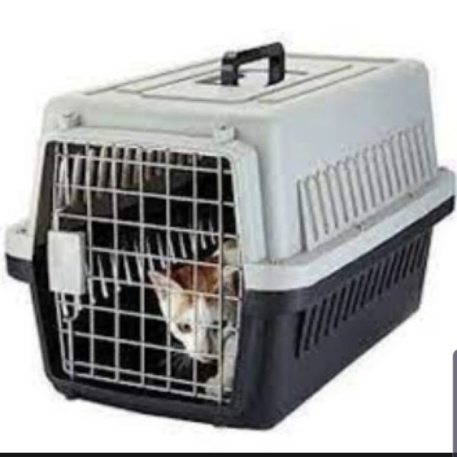 jet box for cat & puppies Traveling cage | Daraz.pk