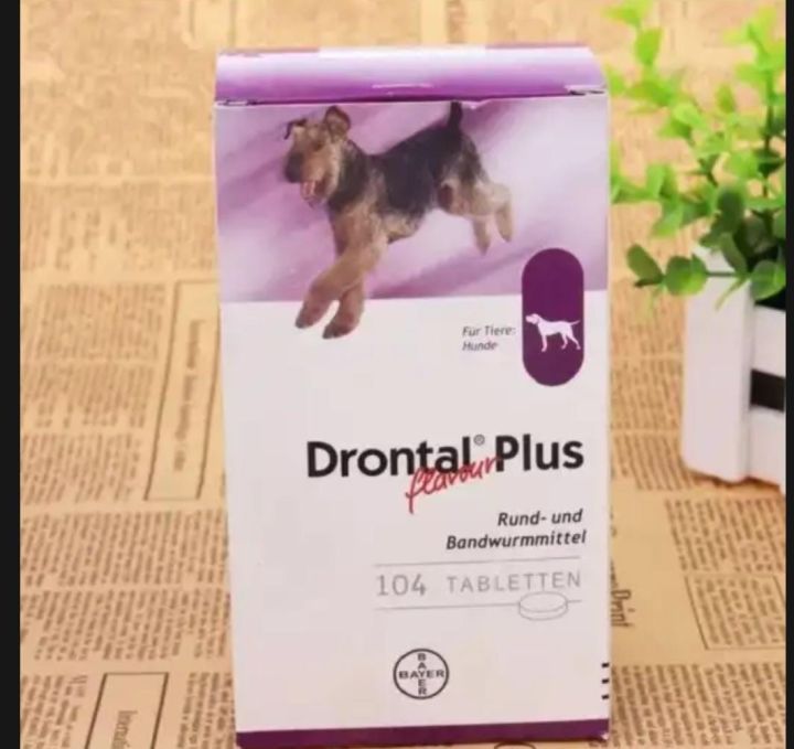 Drontal plus Deworming Tablet For Dogs- Single Tablet | Daraz.pk
