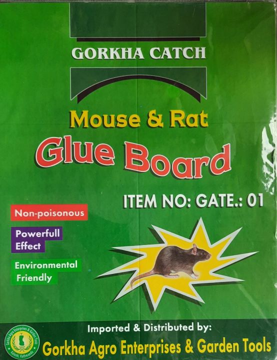 Mouse, mice and Rat Sticky Glue Board Trap - 2 PCS - POWERFUL EFFECT ...
