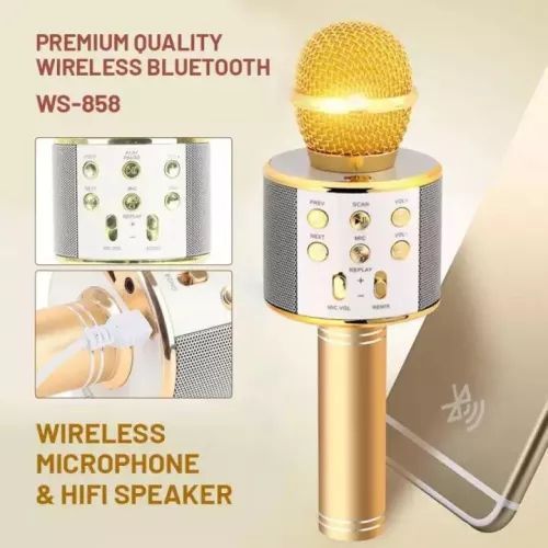 WS858 Mic For Kids Microphone Loud Speaker For Speech With Echo | Daraz.pk