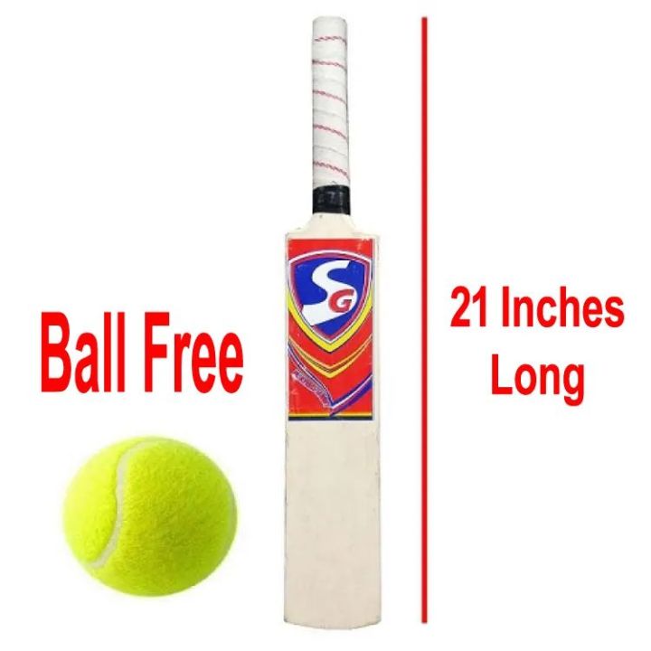 Cricket Bat for kids with Free ball 21 inches - Cricket Bat Small size ...