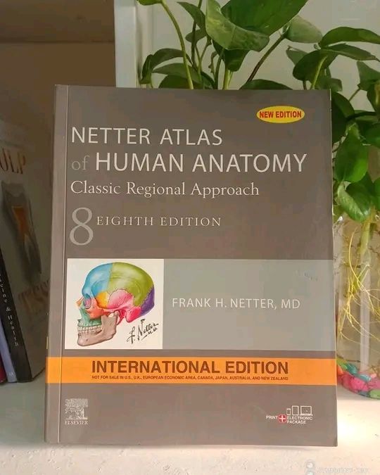 Atlas of Human Anatomy by Frank H. Netter 8th | Daraz.com.bd