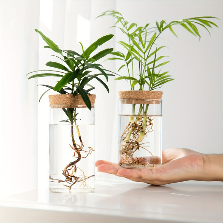 1pc, Hydroponics Plants Desktop Glass Planter Vase For Home Decoration ...