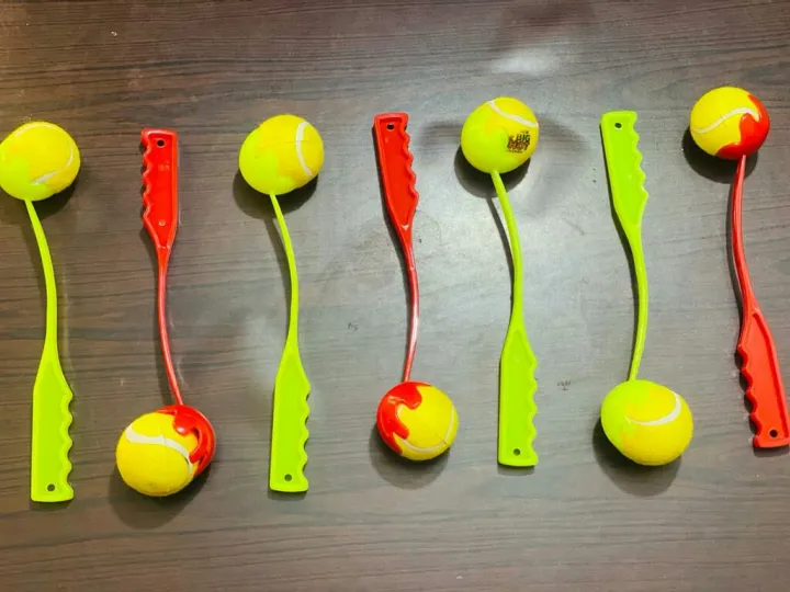 Buy Roboarm Get Ball Free Speed Arm Ball Thrower | Cricket Practice ...