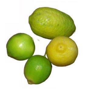 lemon 1kg ලෙමන් දෙහි எலுமிச்சை | Daraz.lk