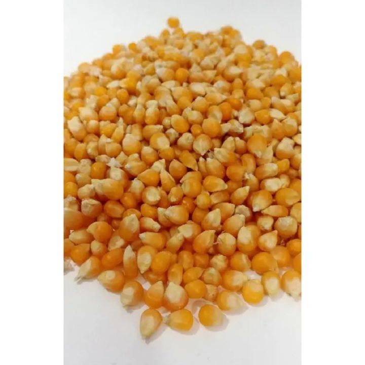 Best Quality Popcorn 500g | Daraz.pk
