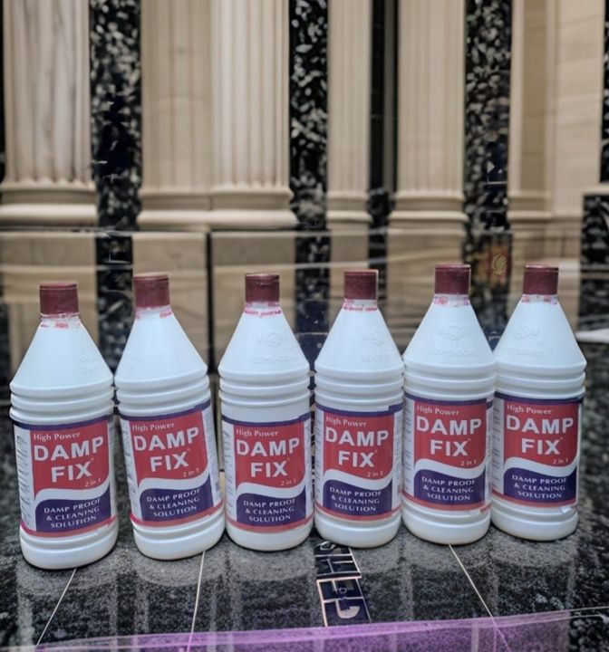 DAMP FIX 2-in-1* – High Power Damp Proof & Cleaning Solution 1 litter ...