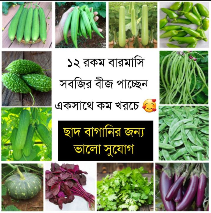All season 12 Type Vegetables Seed - Korola, Shim, Borboti, Lalshak ...