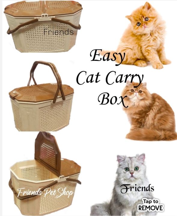 Cat carry box store