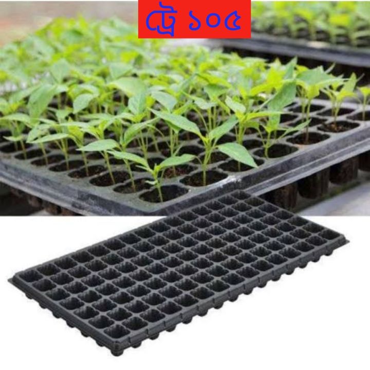 Best quality Narchari seed Tray 105 --1 pcs | Daraz.com.bd