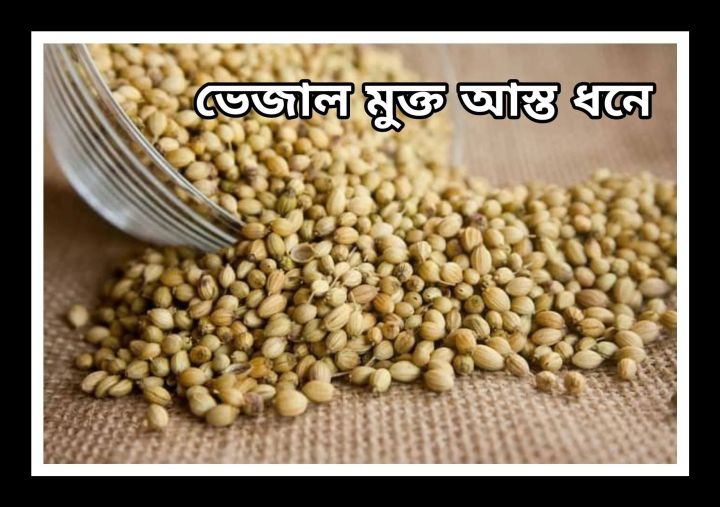 Unadulterated whole coriander / dhoniya 250gm | Daraz.com.bd