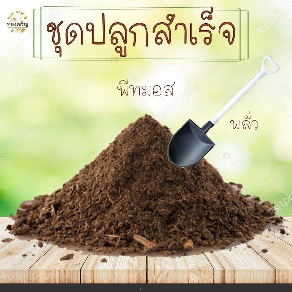 Planting soil🔥Pete Moss📌19 bro.📌For 4 inch pots🍃Ready to plant🍃Easy ...