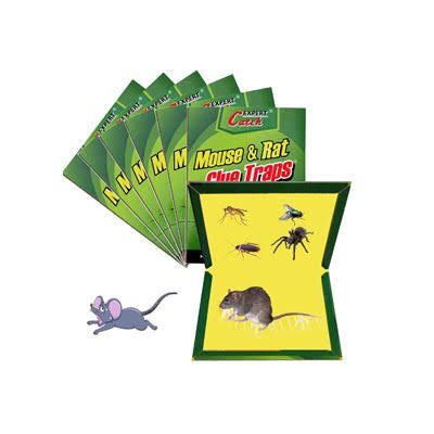 Mouse Catching Book | Daraz.pk