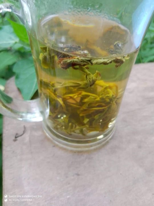 Pure Green tea big leaf In BD 100Gm | Daraz.com.bd