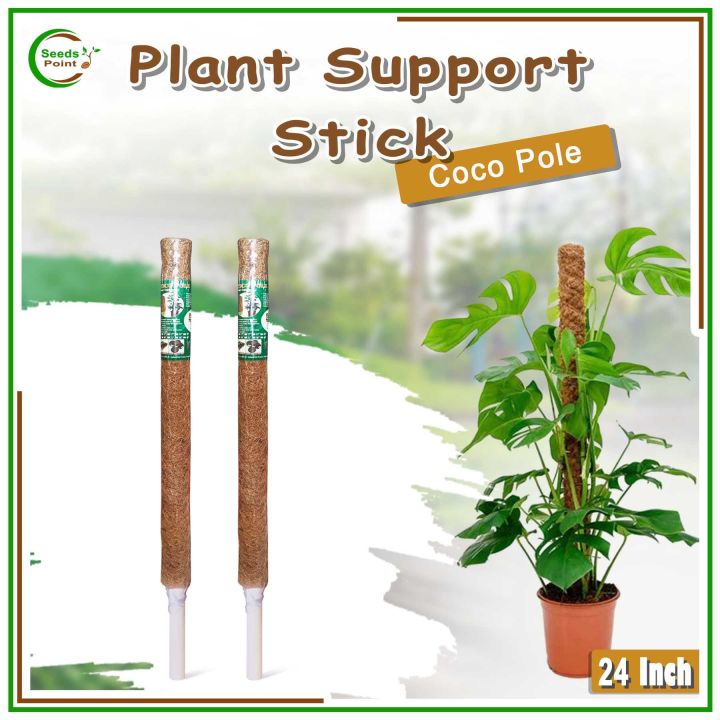 24 Inch Plant Support Stick (Coco Pole) - 2 Pcs | Daraz.com.bd