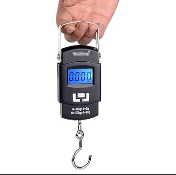 Digital Hanging Scale 50kg/10g Portable Electronic Scale Mini Handheld ...