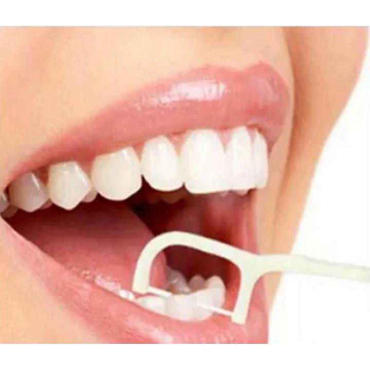 Best Dental Floss Pick Toothpick Interdental Cleaner Tooth Pick ...