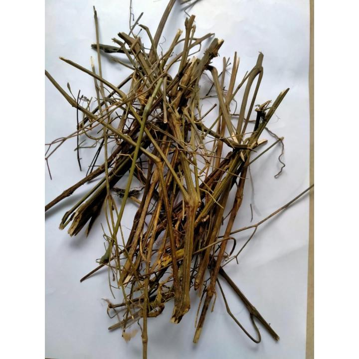 Chirata - Chirota - - 50Gm | Daraz.com.bd