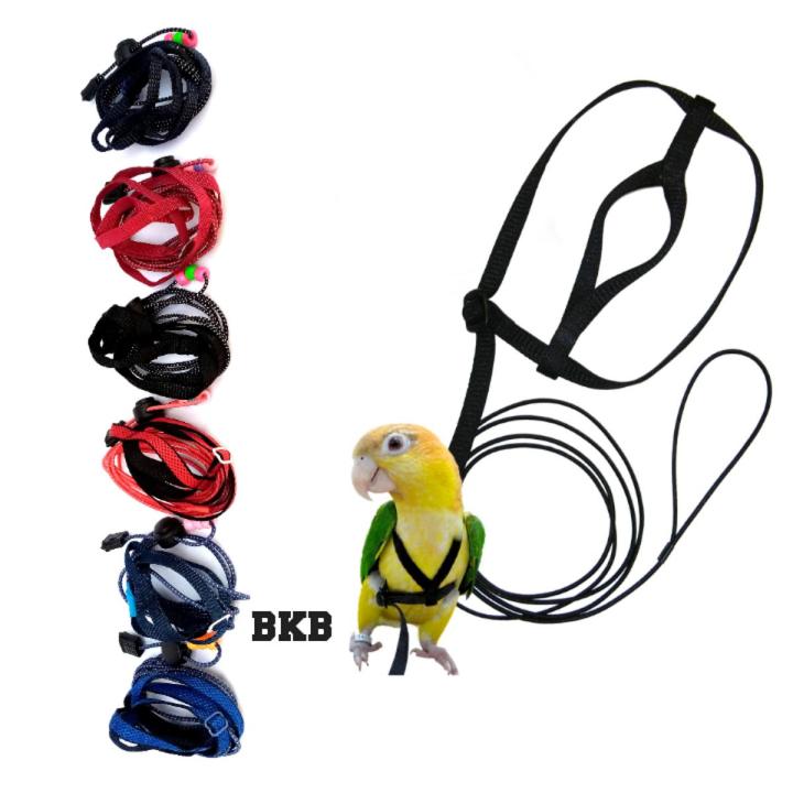 Adjustable Parrot Bird Aviator Harness Leash Anti-Bite Flying Training ...