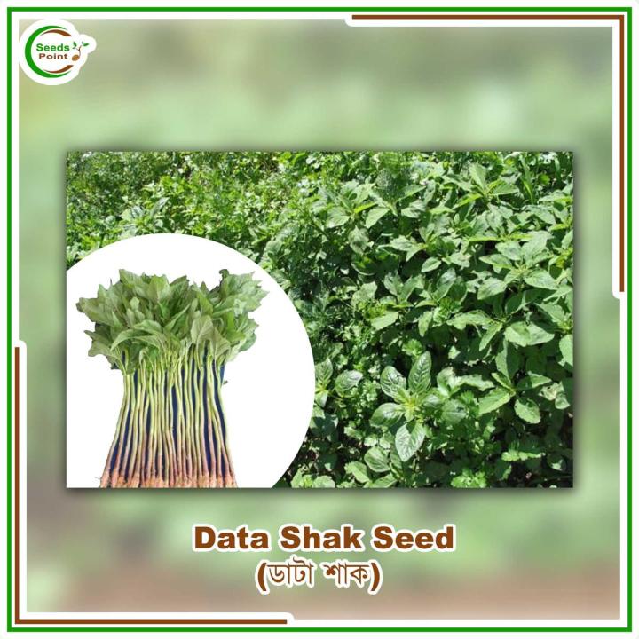 Data Shak Seed (Green) - 10 gm | Daraz.com.bd