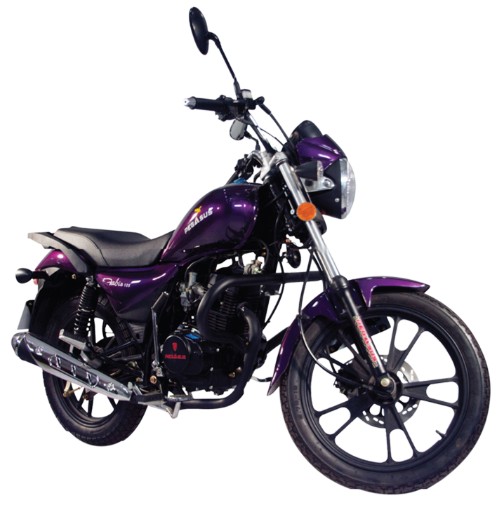 Motorcycle Fabio-125cc Purple | Daraz.com.bd