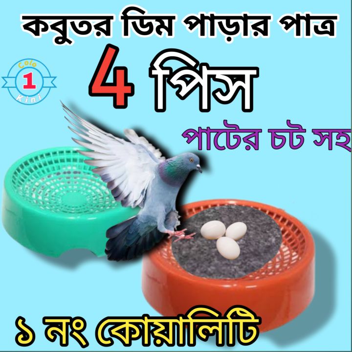 Pigeon Egg Laying and Hatching Pot 4pcs | Daraz.com.bd