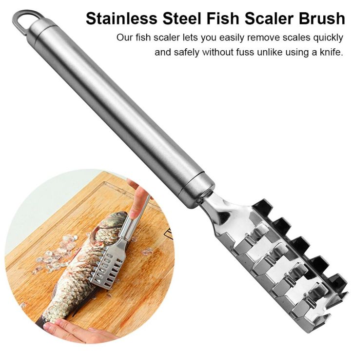 Fish Scale Scraper Brush, Stainless Steel Fish Scaler | Daraz.com.bd