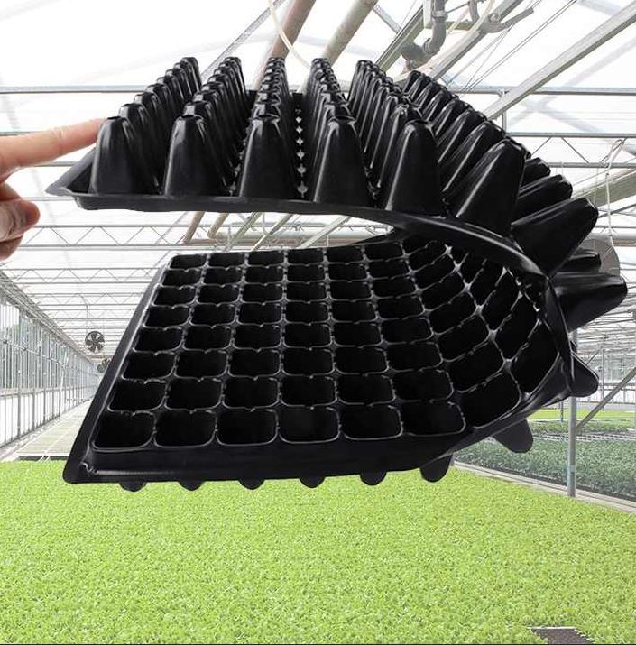 Seed Tray 105 cells-Plant Seeds Grow Nursery | Daraz.com.bd