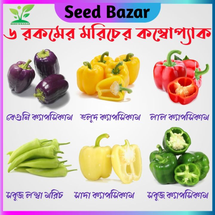 Multiple chili Seeds Combo Pack 80 pice+ Gift | Daraz.com.bd