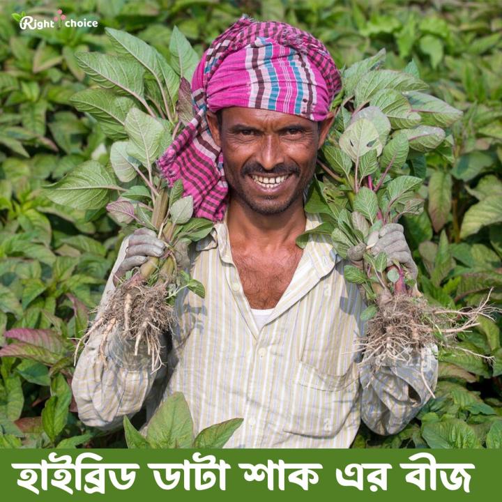 Hybrid vagetable seeds (Data shak) 2000+ pice & gift | Daraz.com.bd