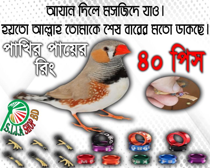 40 pcs 8mm Tag Bird Foot Ring for Racing Pigeon Rings Pigeon Leg Bands ...