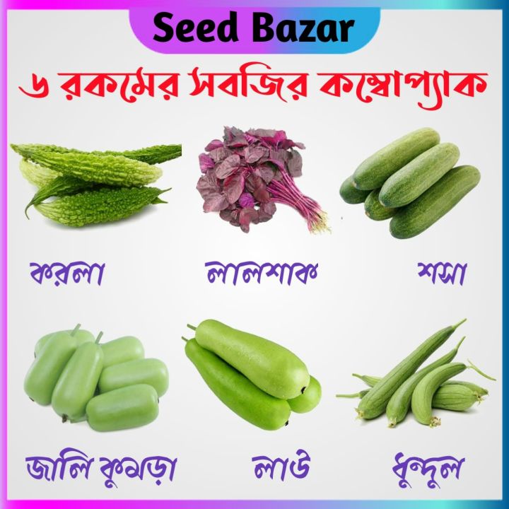 All Season 6 type Hybrid vegetable seeds (combo pack) | Daraz.com.bd