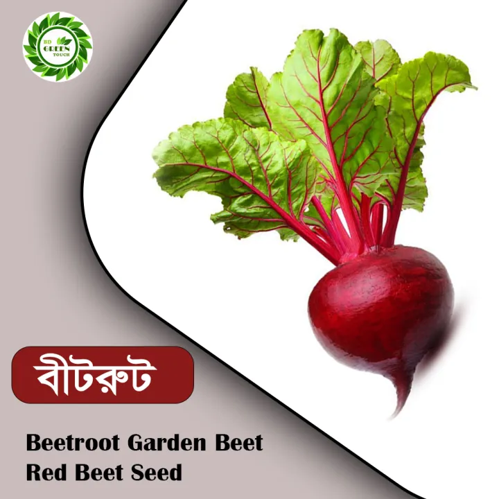 High Quality Beetroot Seed 90 + for your Garden - Garden Beet- Red Beet - Vegetable Seed | Daraz ...