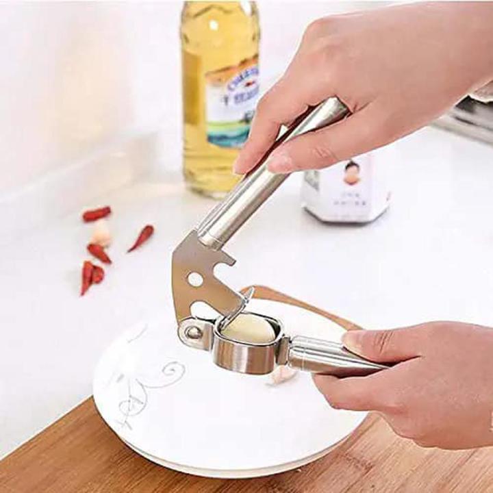 Steel Ginger Garlic Press Crusher and Mincer, Best Garlic and Ginger ...