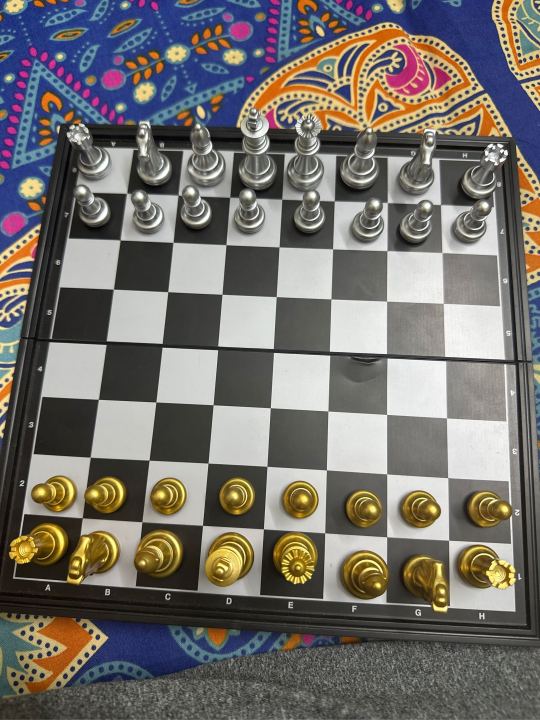 Magnet Chess Gold & Silver Guti 14. Inch | Daraz.com.bd