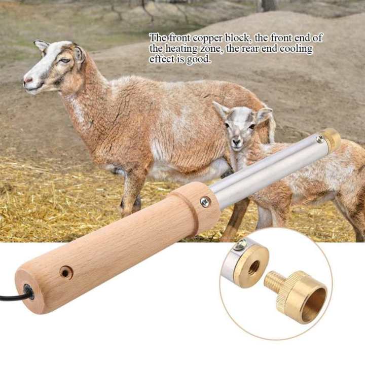 Electric Dehorner for calves tool in iron with Bloodless rearing lambs ...