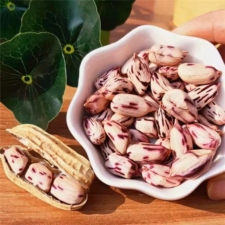 20 seeds Tiger Peanuts Seeds Non-GMO | Daraz.com.bd