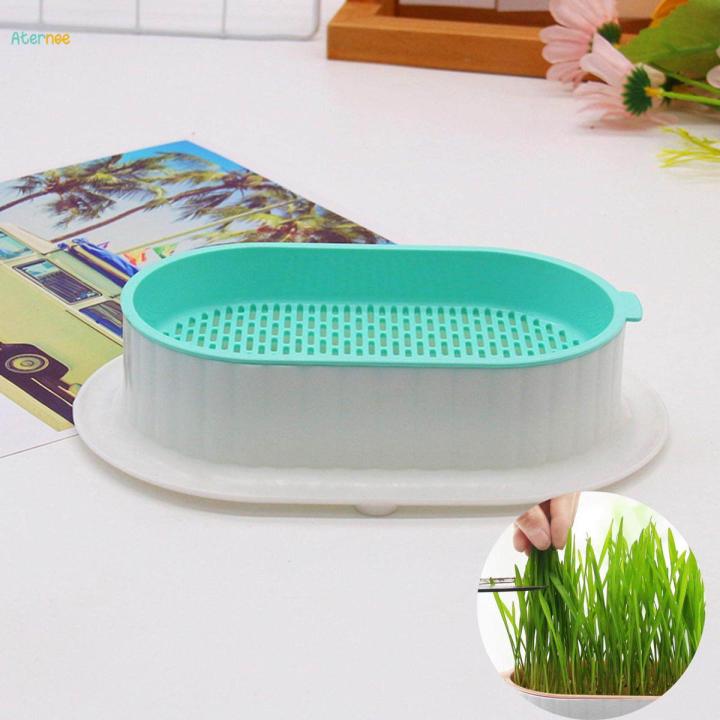 Seed Tray Sprouting Container for Seedling Planting Greenhouse Green ...