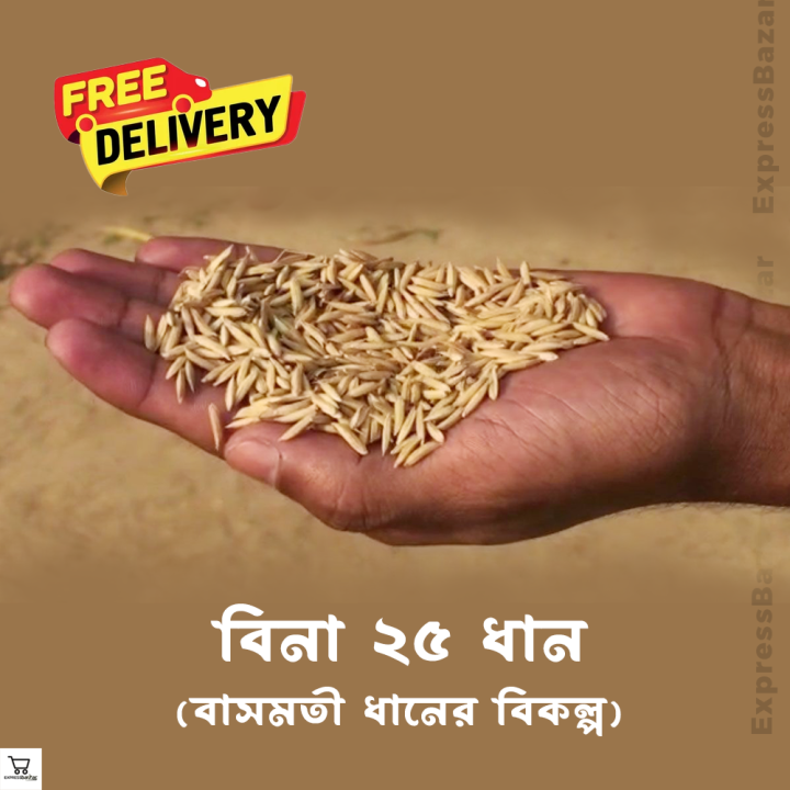 Bina-25 (Basmoti) Rice Seeds | Daraz.com.bd