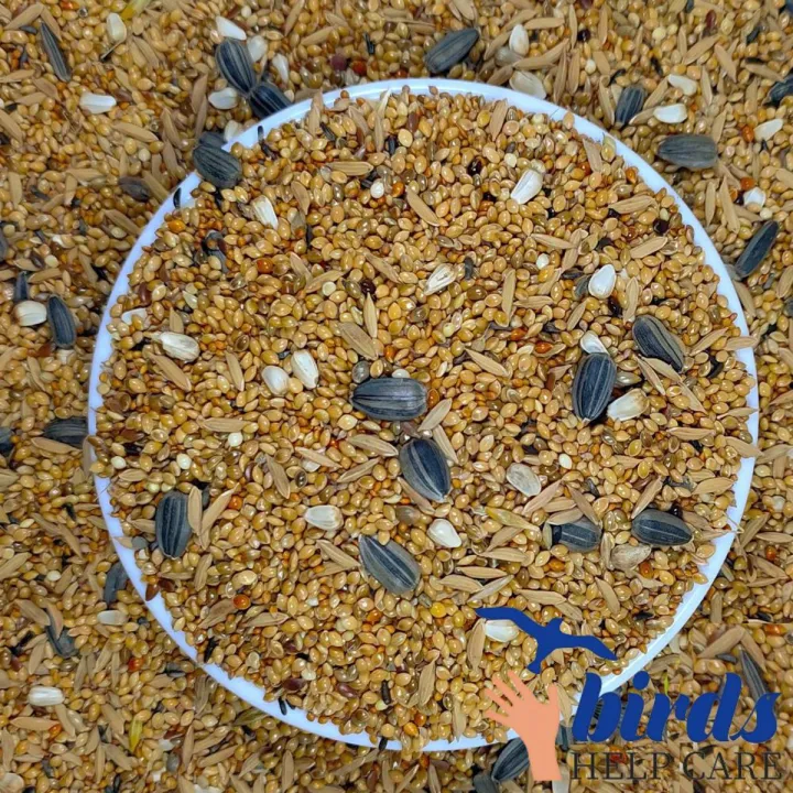 Seed Mix For Bird (Regular)-1kg | Daraz.com.bd