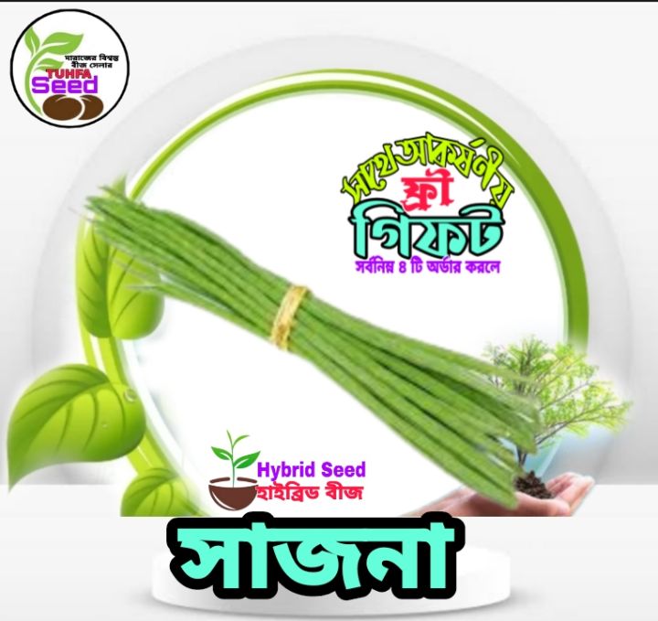 Hybrid Sajna seed 5 pcs | Daraz.com.bd