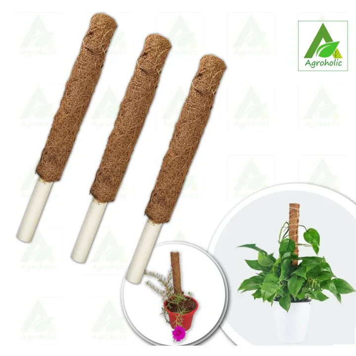 15 inch Coir (Coco peat) Grow Stick - 3 pcs | Daraz.com.bd