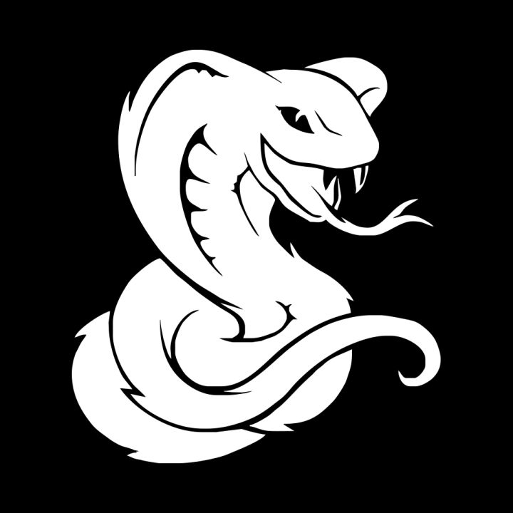 【DATA FROG Global MALL】Tancredy Scary Cobra Snake Car Sticker Decals ...