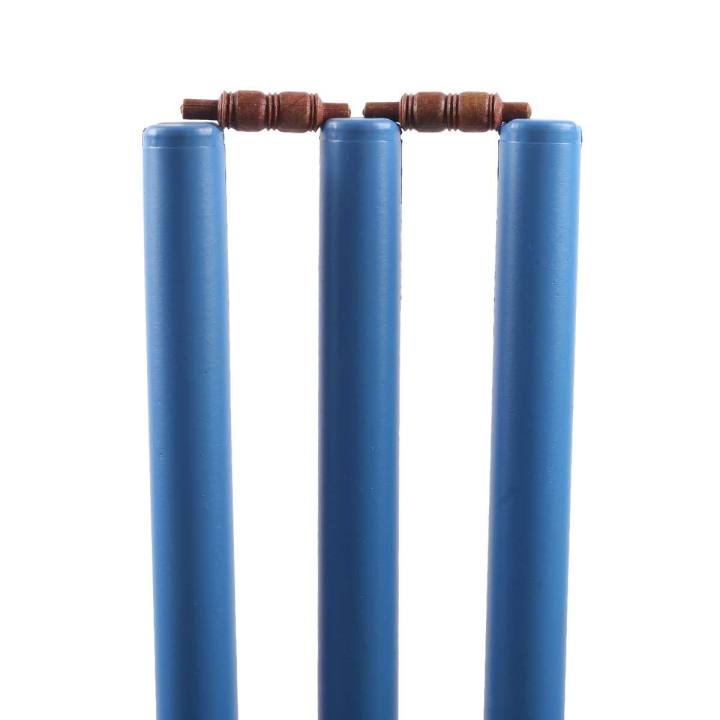 Plastic Cricket Stamp - Mark Your Cricket Equipment With This Blue ...