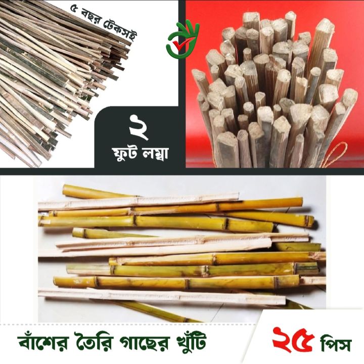 2 feet long bamboo tree poles 25 pieces | Daraz.com.bd
