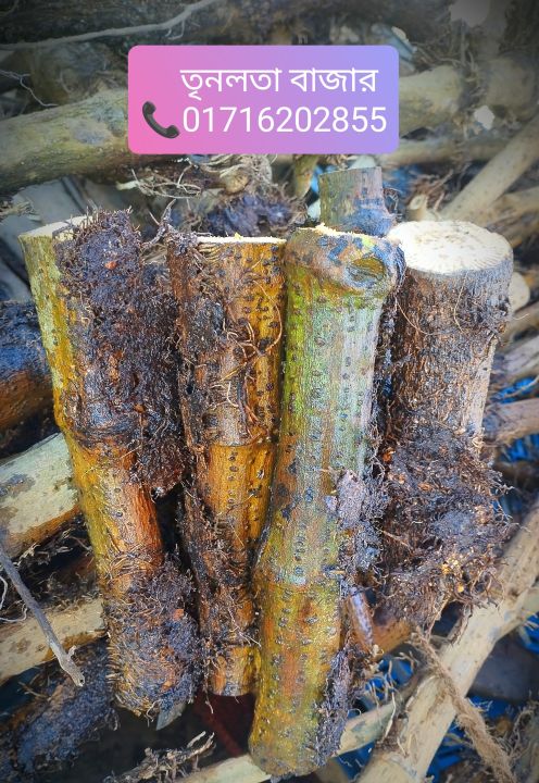 deshi majari size cui jhal | Daraz.com.bd